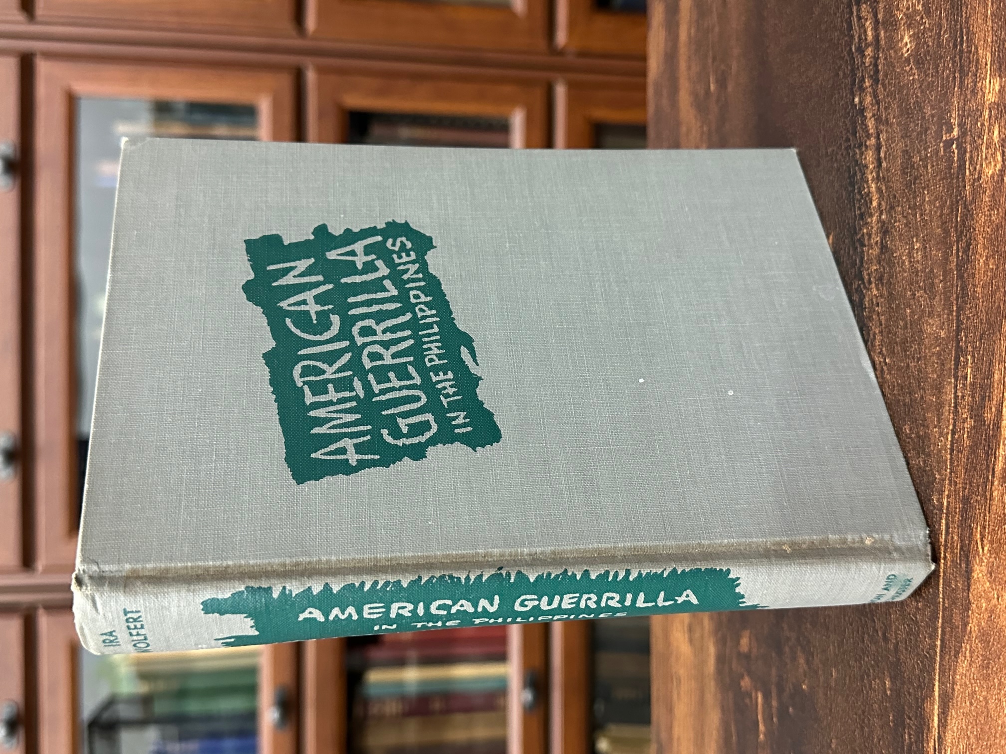 American Guerrilla in the Philippines